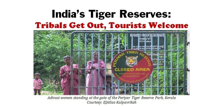 International Tiger Day: 5,50,000 tribals to be displaced by the ...